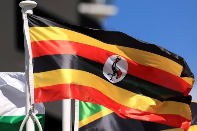 What language do they speak in Uganda? - Here in Uganda