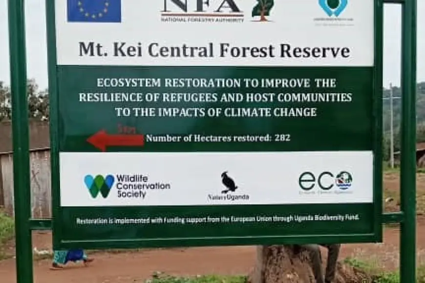 Mount Kei Central Forest Reserve - Here in Uganda