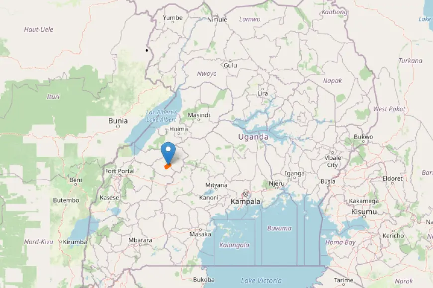 Nyakarongo Central Forest Reserve - Here in Uganda