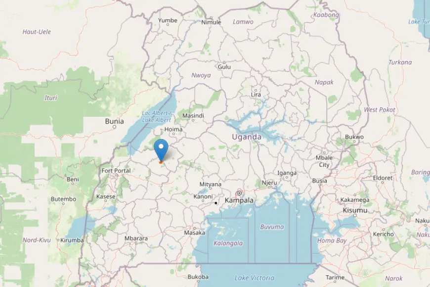 Muhunga Central Forest Reserve - Here in Uganda