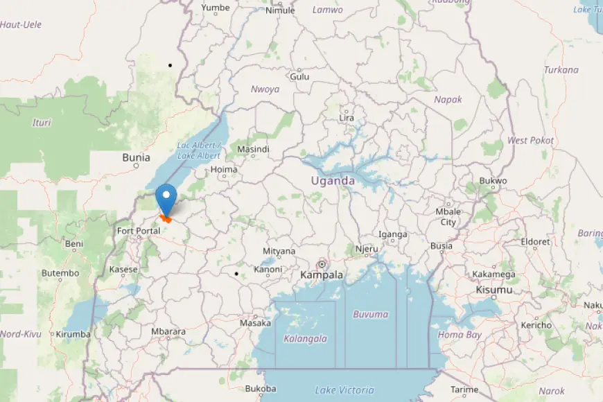 Muhangi Central Forest Reserve - Here in Uganda