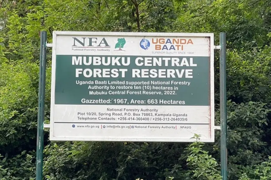 Mubuku Central Forest Reserve - Here in Uganda
