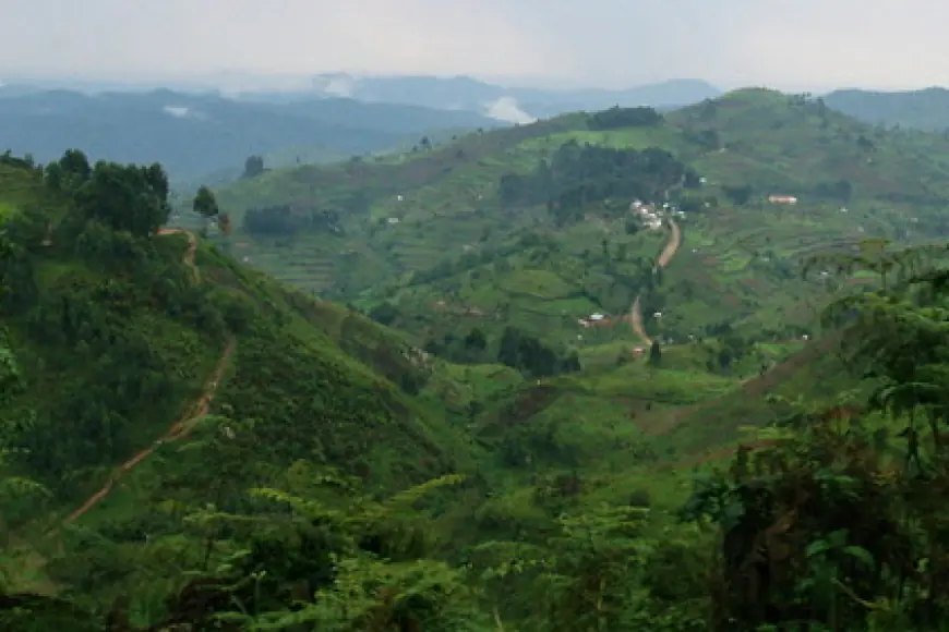 Mafuga Central Forest Reserve - Here in Uganda