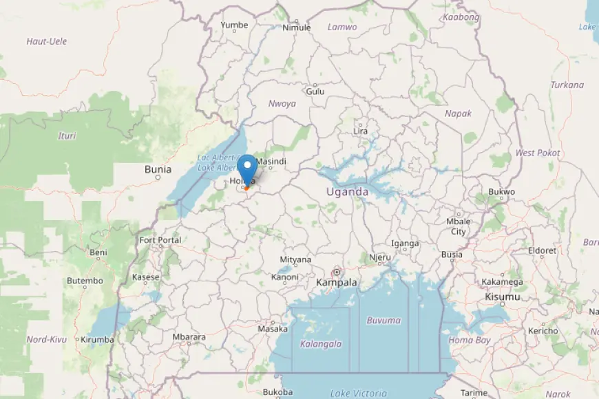 Ibamba Central Forest Reserve - Here in Uganda