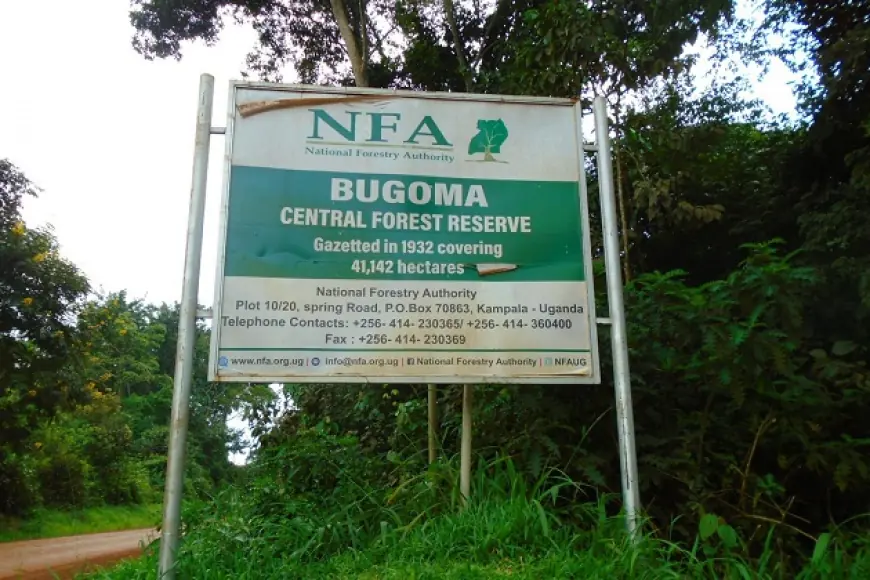 Bugoma Central Forest Reserve: A Biodiversity Hotspot Under Threat ...